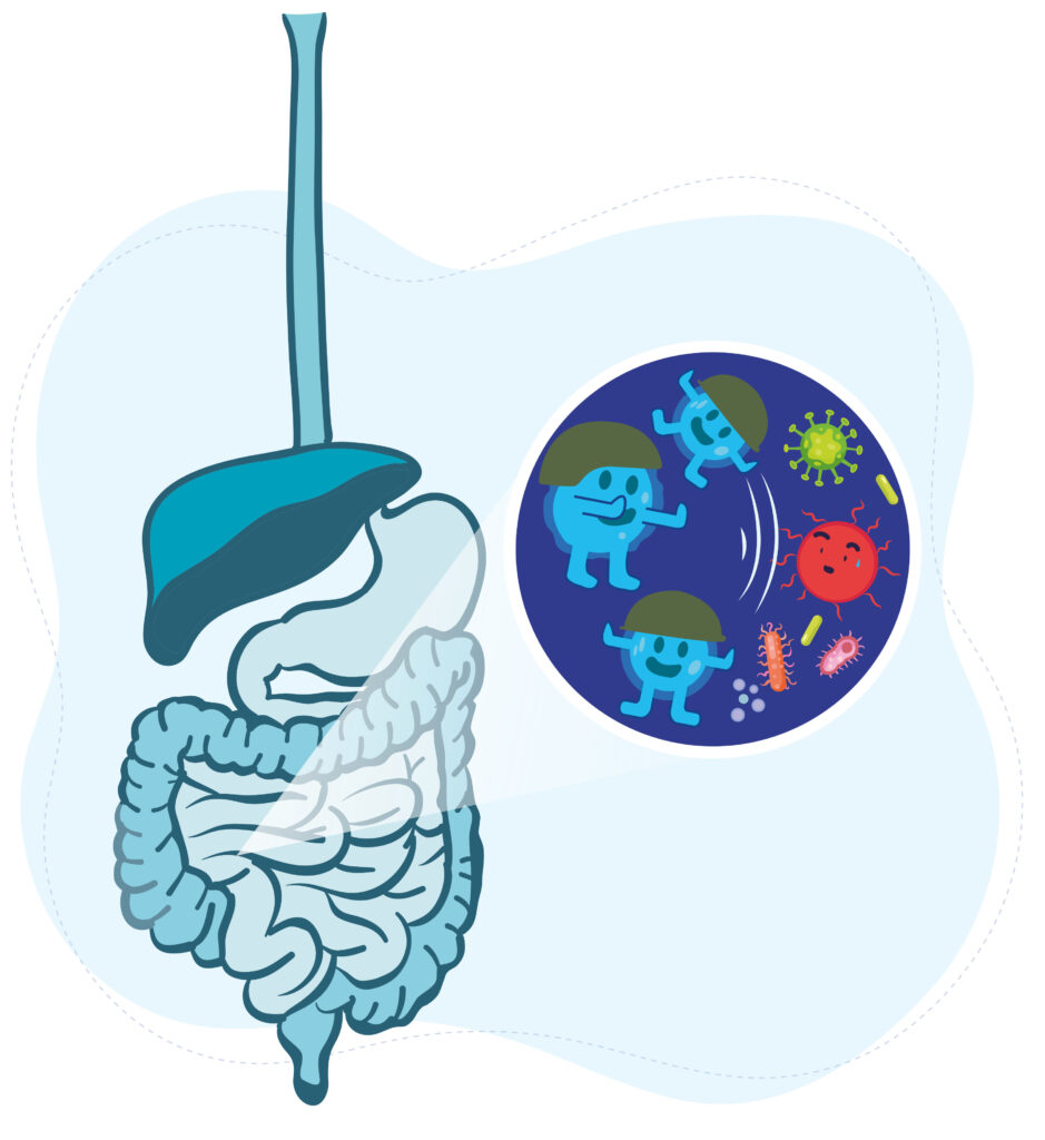 Salud intestinal correcta - Yakult Oaxaca